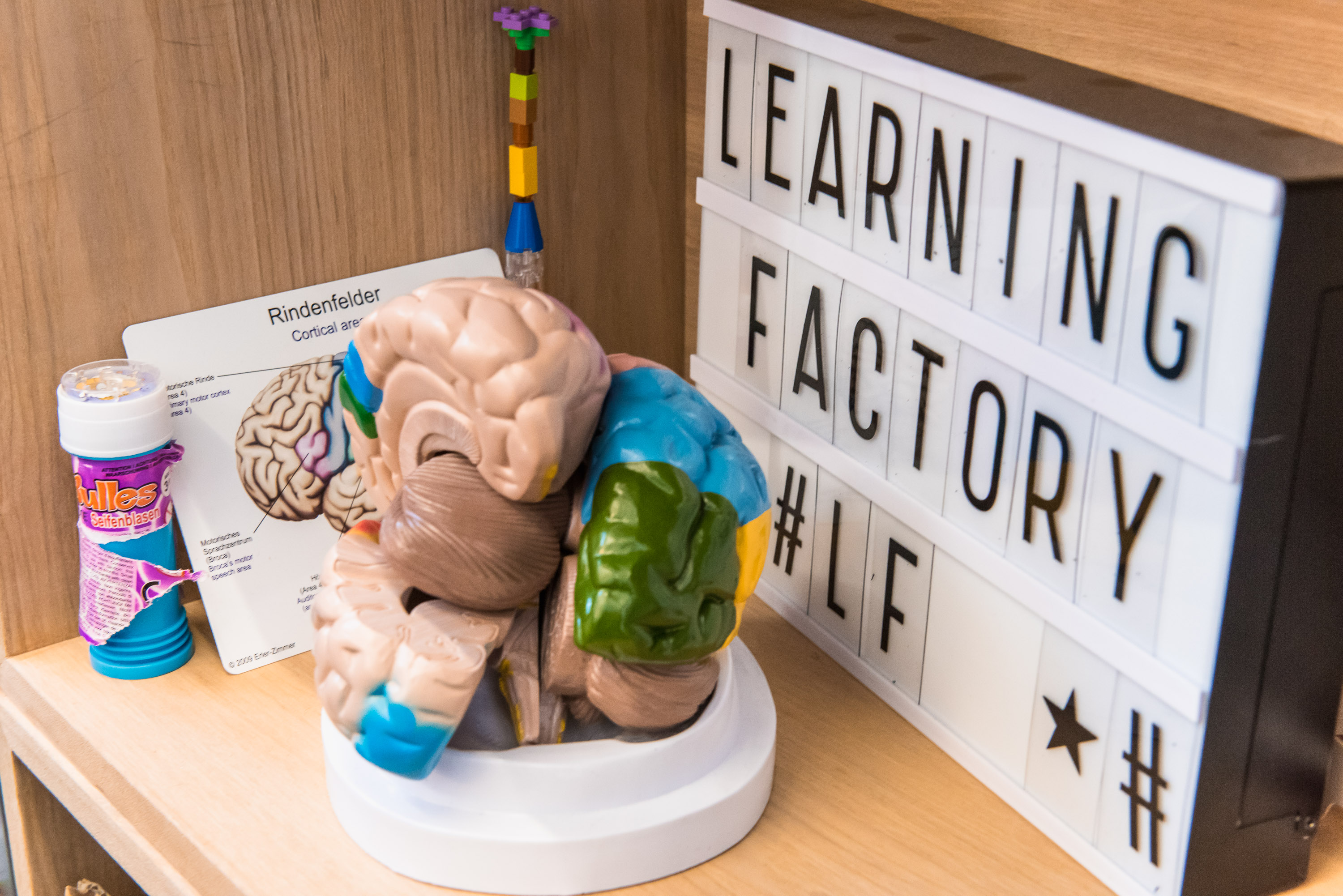 Accueil - Institut des Hautes Etudes de l'Entreprise | IHEE