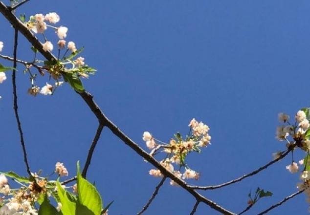 Accueil - Institut des Hautes Etudes de l'Entreprise | IHEE