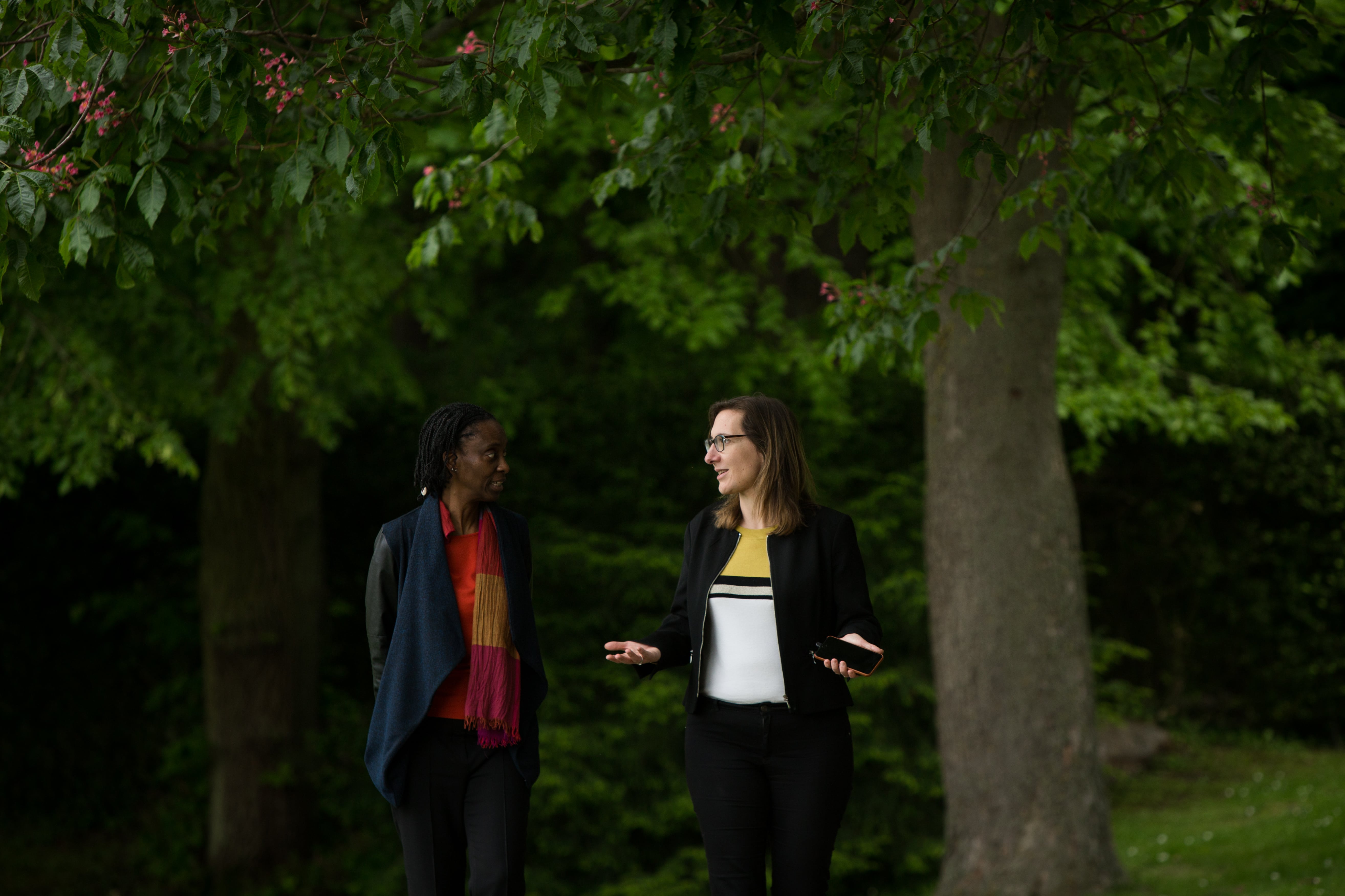 Le Cercle de l'IHEE | IHEE